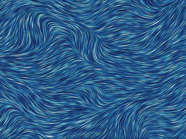 Line Integral Convolution