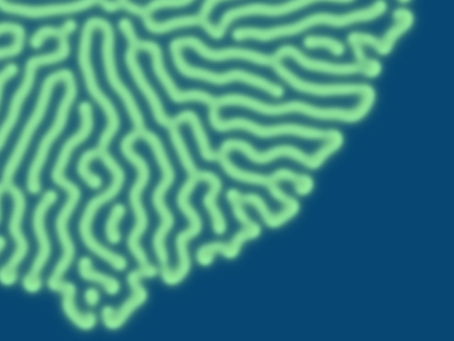 Gray Scott Reaction Diffusion